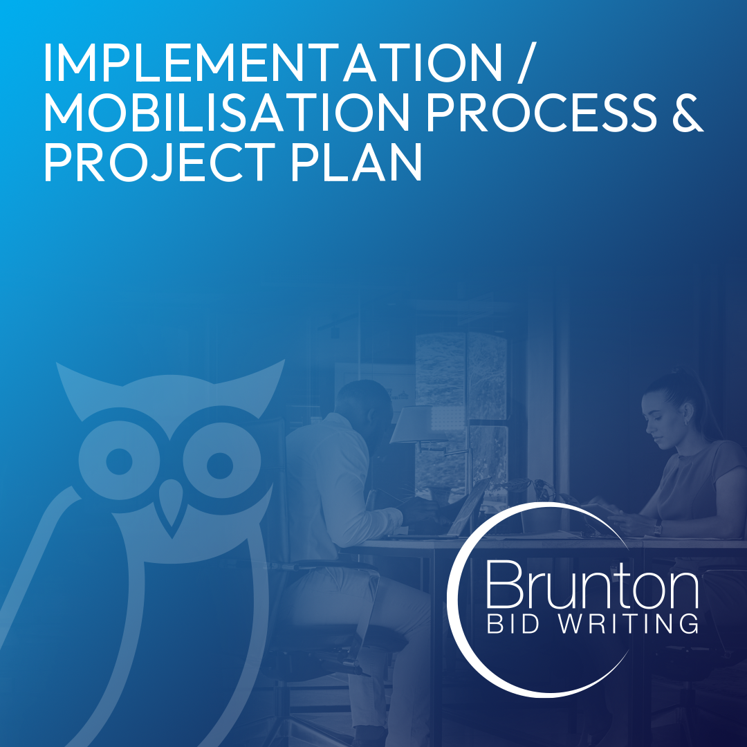 Implementation / Mobilisation Plan Template for Recruitment Agencies